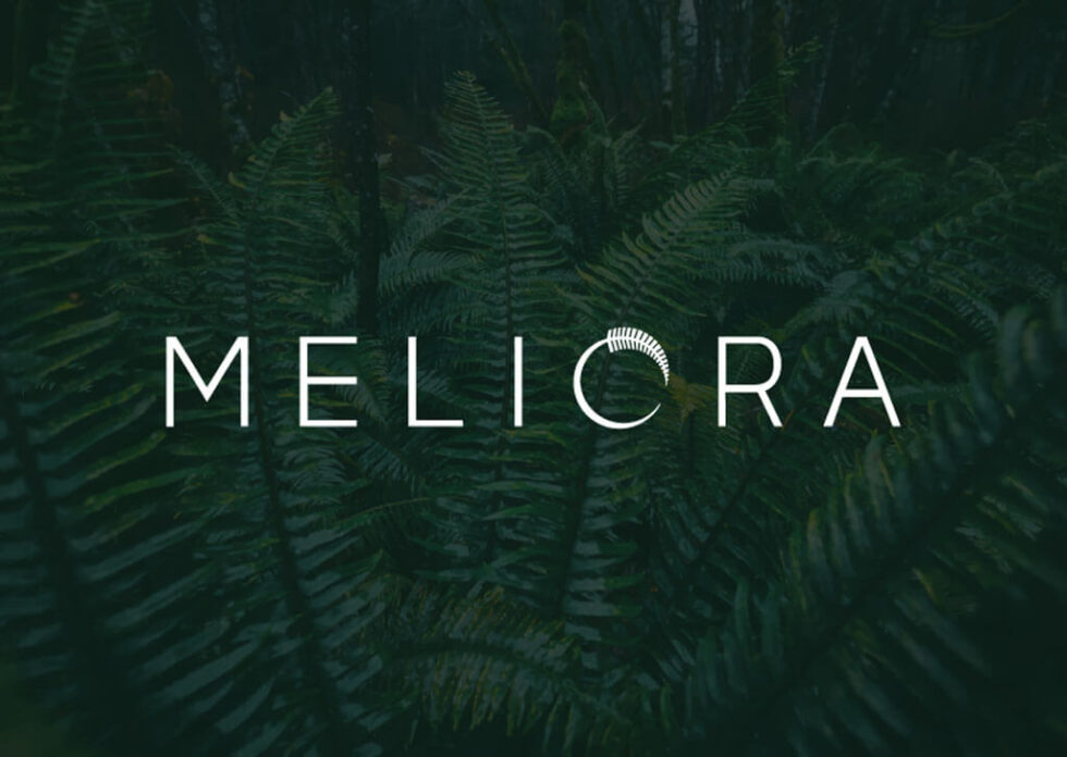 Meliora Branding Project: Creative Design Showcase | UNiO Branding
